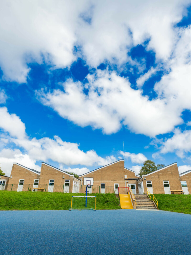 Stepnell 2025 Spotlight